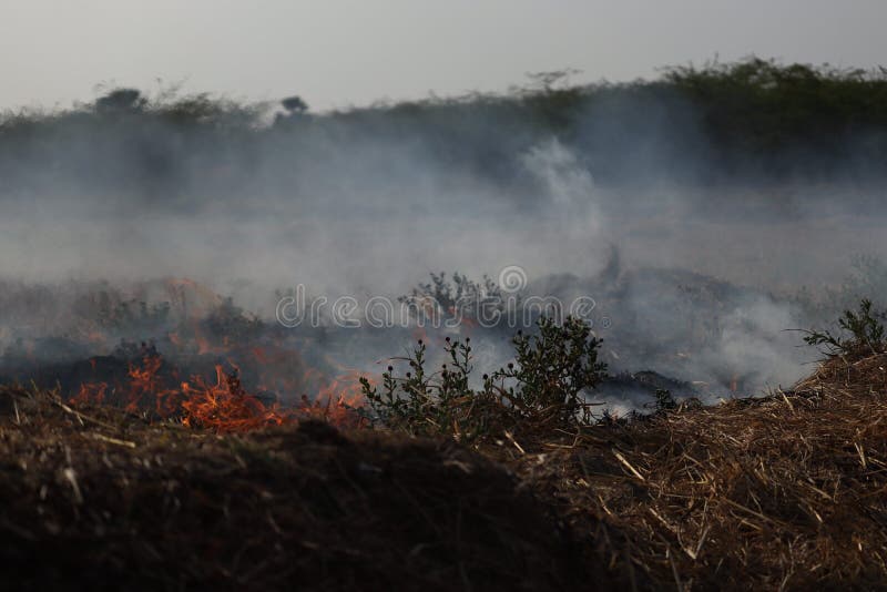 Fire in farming land stock image. Image of sandwich - 177007011