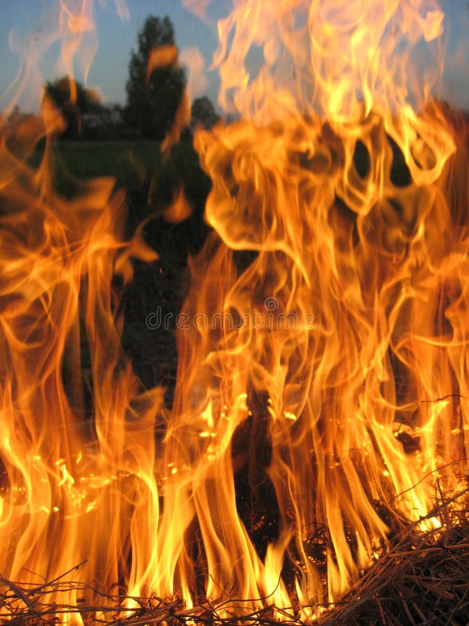 Fire in the field stock photo. Image of shape, fragment - 25994160
