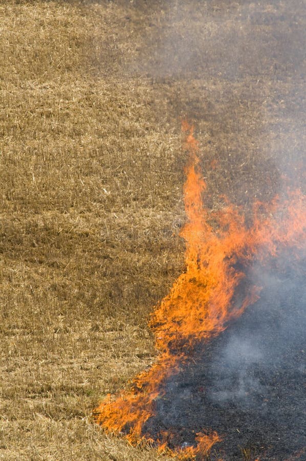 Fire on a field stock photo. Image of ground, smoke, fire - 5851732