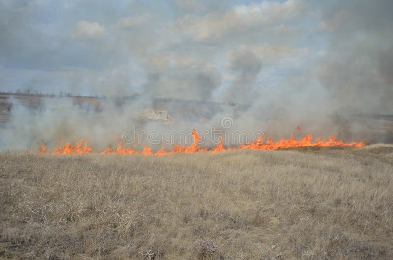 Fire in the field stock photo. Image of season, cloud - 45426438