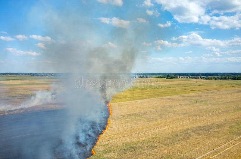 Fire on the field stock photo. Image of grass, natural - 57680660