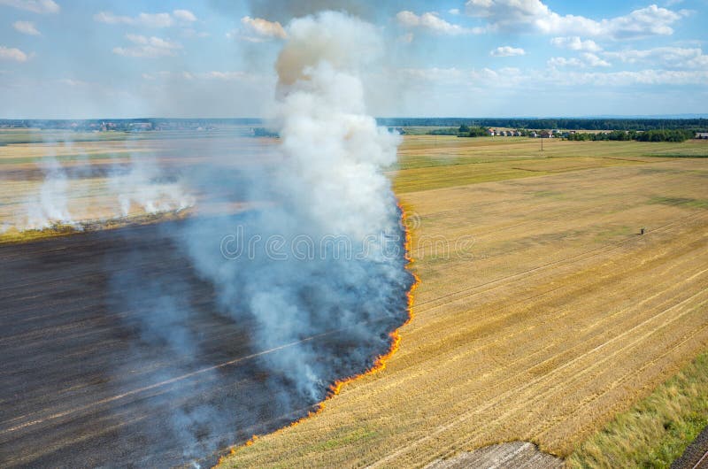 Fire on the field stock photo. Image of damage, burning - 57681048