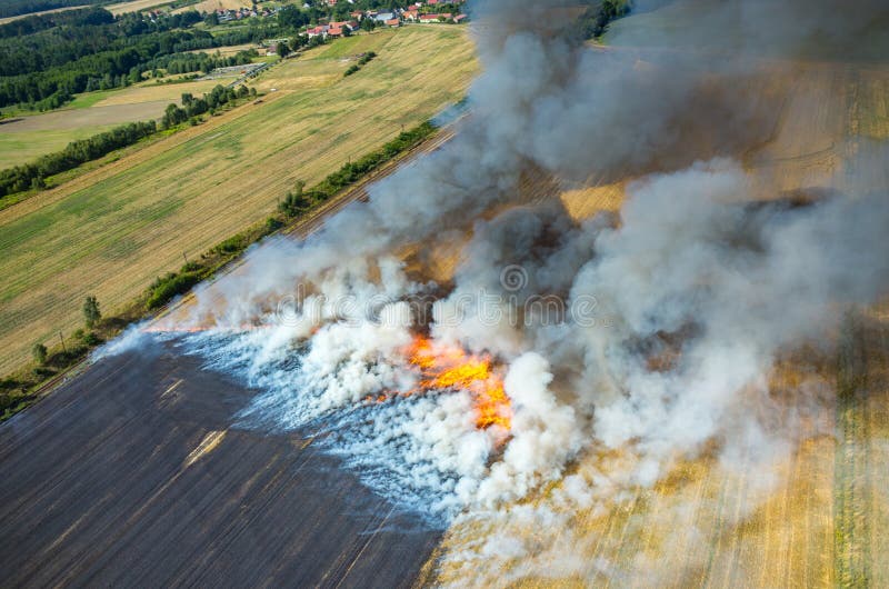 Fire on the field stock image. Image of burn, danger - 57682309