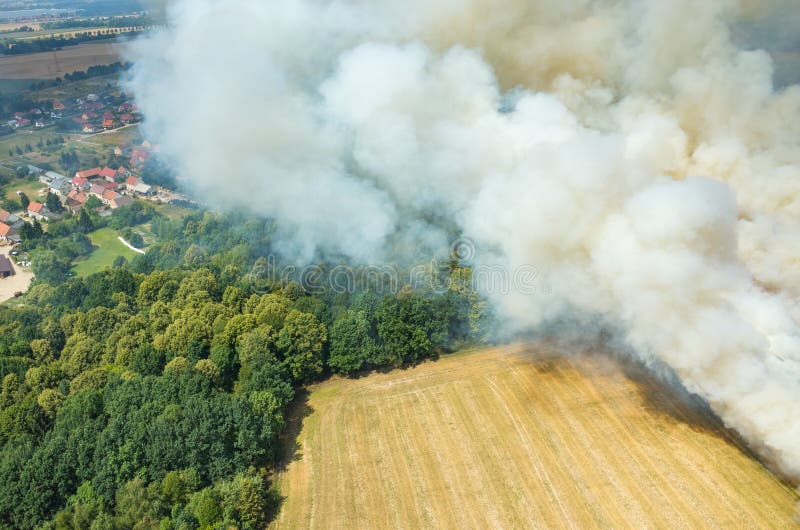 Fire on the field stock image. Image of danger, land - 57969959