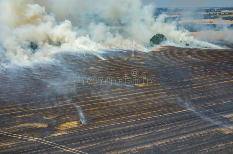 Fire on the field stock image. Image of drought, orange - 57971189