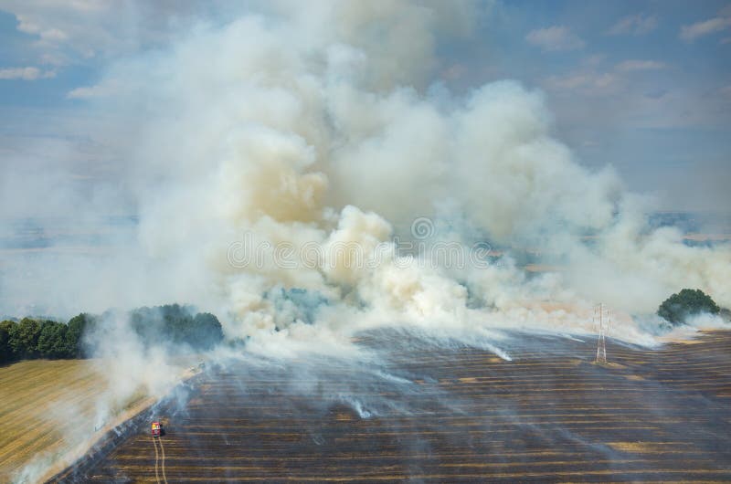 Fire on the field stock photo. Image of orange, drought - 57971380