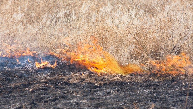 Fire in a field stock photo. Image of arid, destruction - 34302510