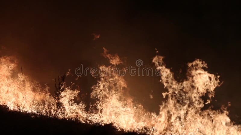 Fire on the Field. Burning Grass Stock Footage - Video of dangerous ...