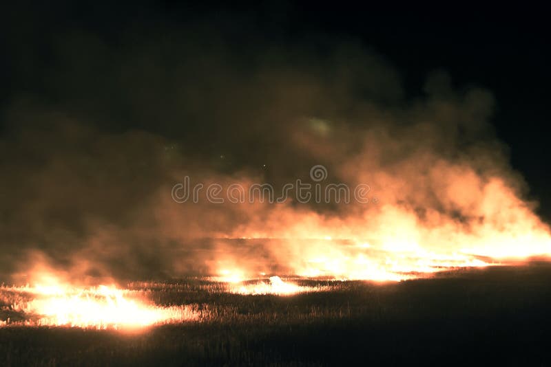 Fire on the Field, Burning Leftover Wheat Stock Image - Image of flame ...