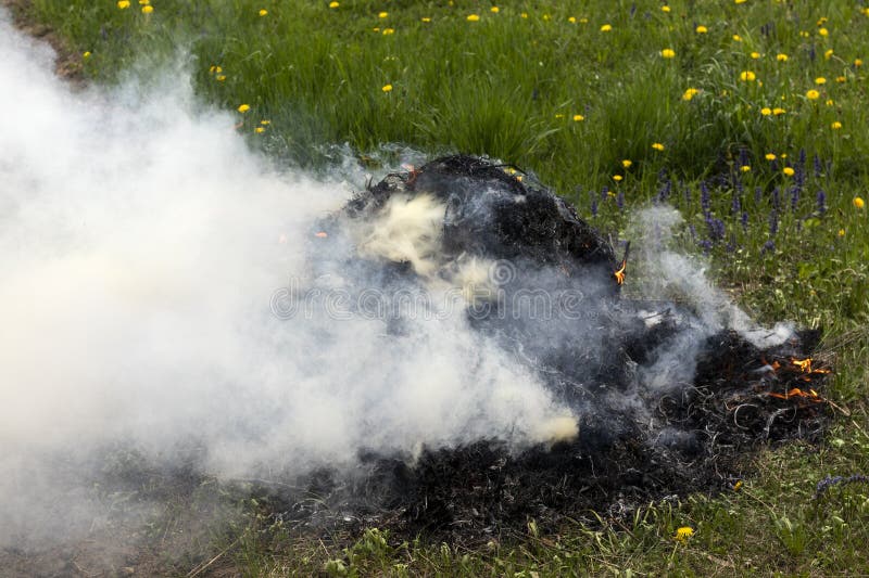 Fire in the field. stock image. Image of orange, disaster - 275805899