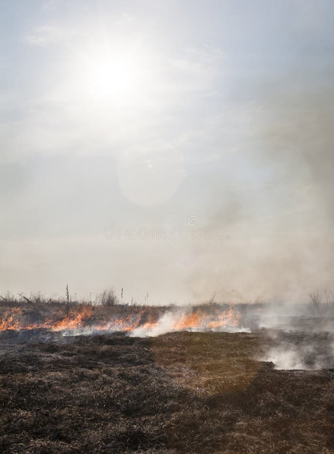 Fire in the field stock photo. Image of environment - 172515176