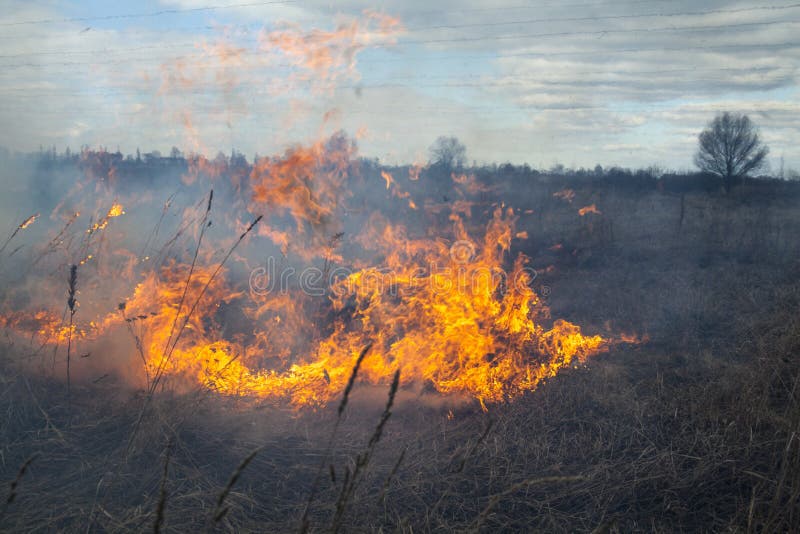 Fire in the field stock image. Image of environmental - 179865469