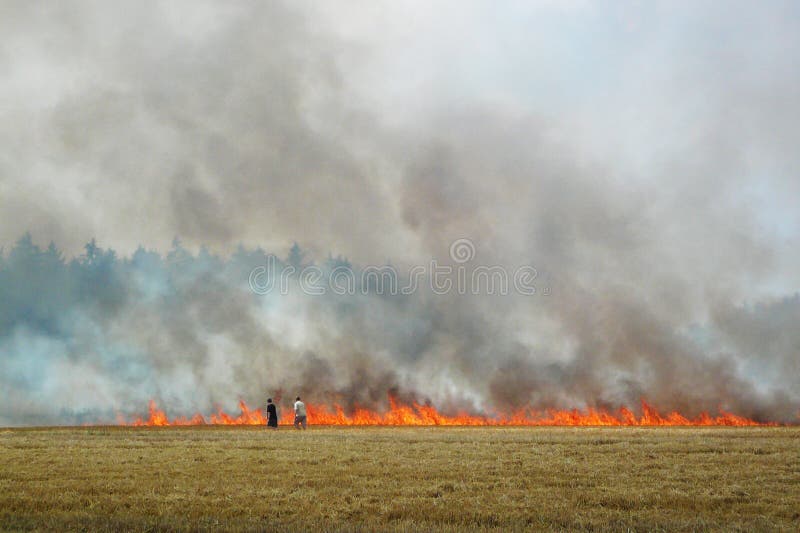 The fire on the field editorial stock image. Image of fire - 43089189