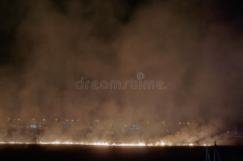 Fire in the Field at Night, Burning Grass on the Field, the Smoke from ...