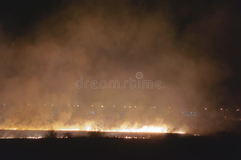 Fire in the Field at Night, Burning Grass on the Field, the Smoke from ...