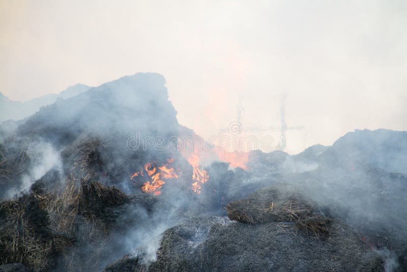 Fire in Field after Wheat Harvest Stock Photo - Image of straw, scene ...