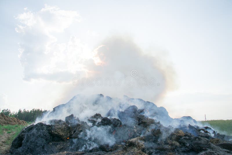 Fire in Field after Wheat Harvest Stock Image - Image of scene ...