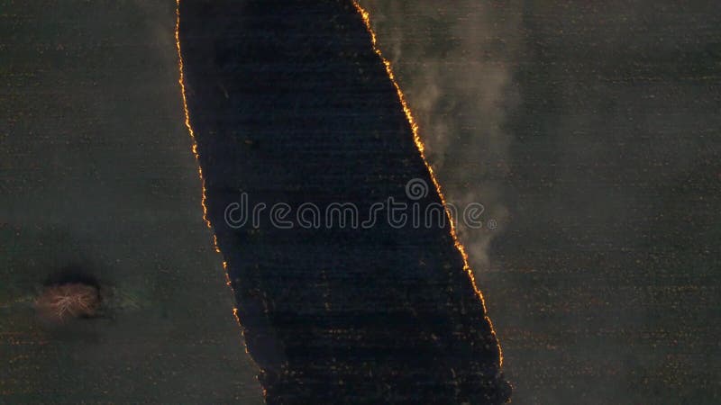 Fire Fields at Sunset. Footage. Large-scale Fire, the View from the Top ...