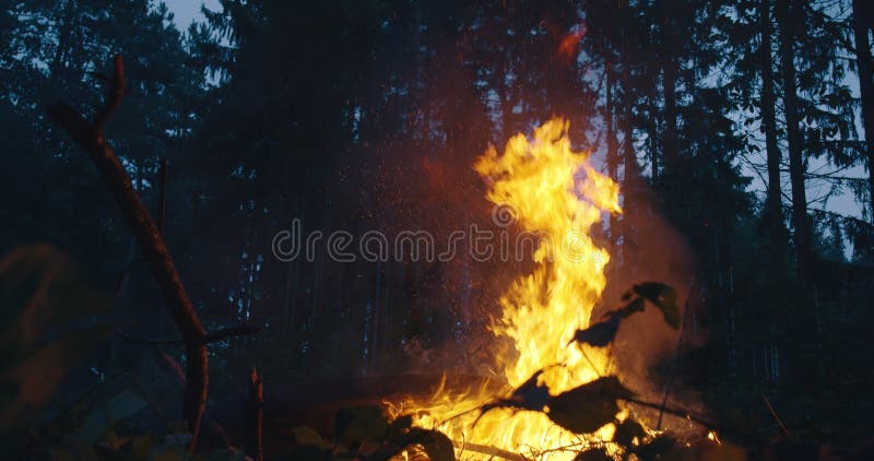 Firemen Jumping Over Fire in Dense Forest, Fire Fighter with Safety ...