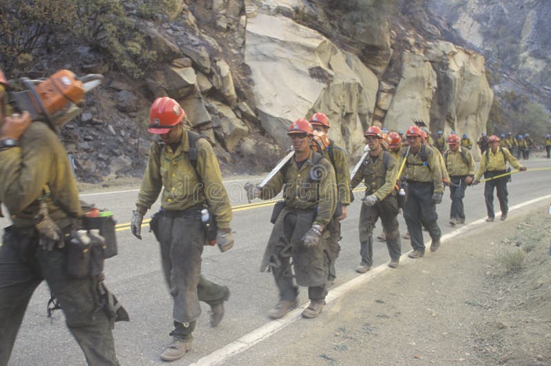 Fire Fighting Crew Carrying Equipment Editorial Photo - Image of males ...