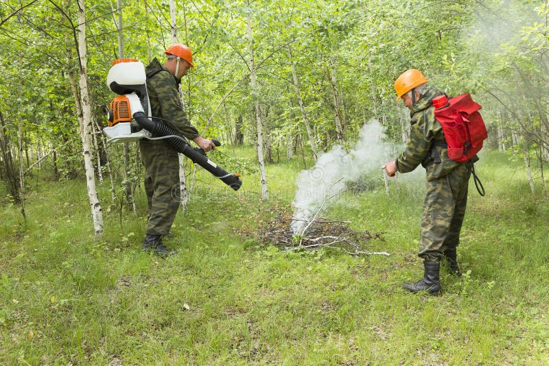 Fire Fighting in the Forest Stock Image - Image of defense, fighting ...