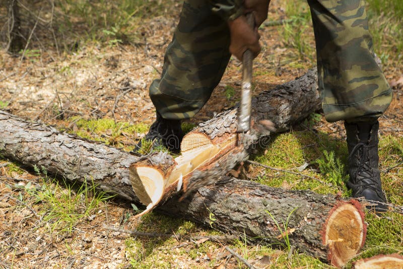 Fire Fighting in the Forest Stock Image - Image of fell, lumberjack ...