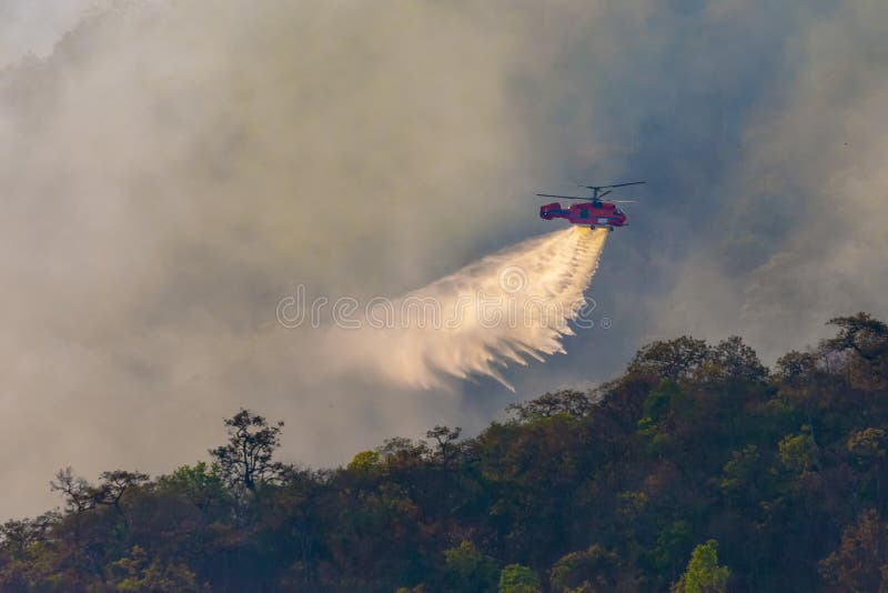 Fire Fighting Helicopter Dropping Water on Forest Fire Editorial Stock ...