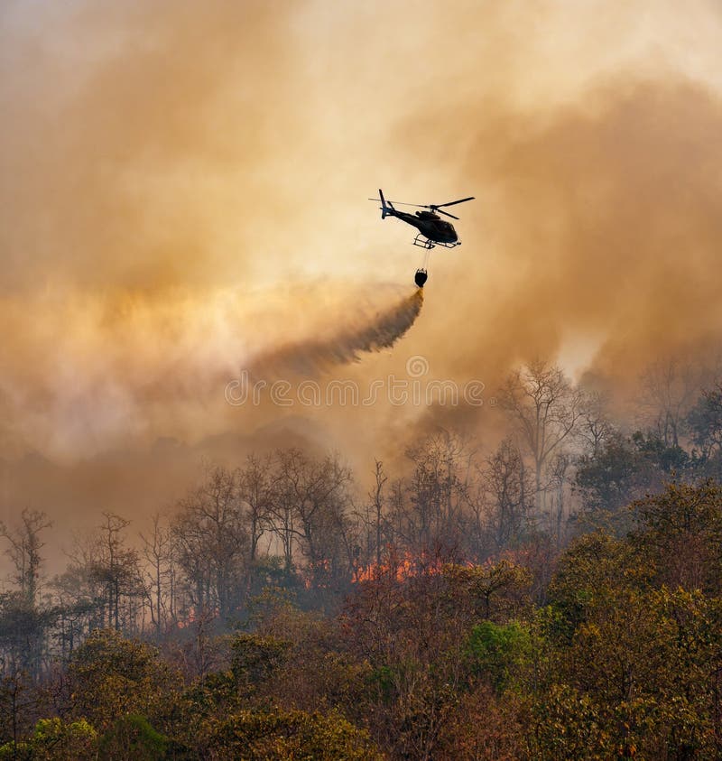 Fire Fighting Helicopter Dropping Water Onto Wildfire because Climate ...