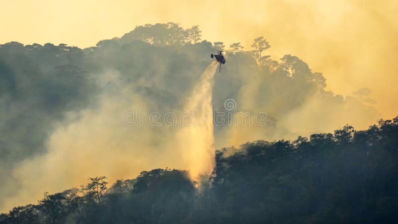 Fire Fighting Helicopter Dropping Water To Extinguish the Forest Fire ...