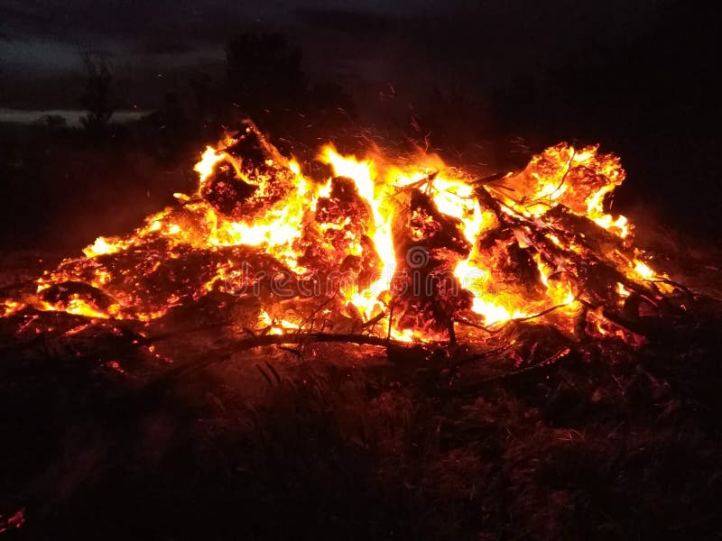 Fire stock photo. Image of heat, regeneration, beautiful - 150764046