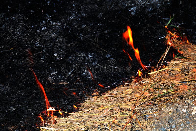 Fire, Fire Burning Hay Selective Focus Stock Photo - Image of flame ...