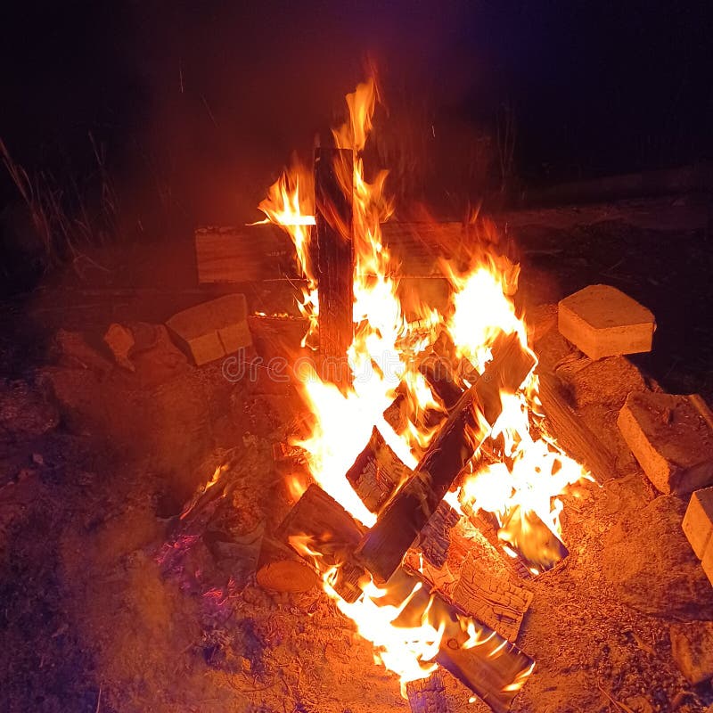 Fire fish camp nature logs stock image. Image of screenshot - 240971521