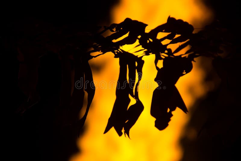 Fire Flags Shade Stock Photos - Free & Royalty-Free Stock Photos from ...