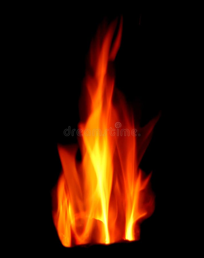 Fire flame stock photo. Image of heat, fireplace, flame - 7023456