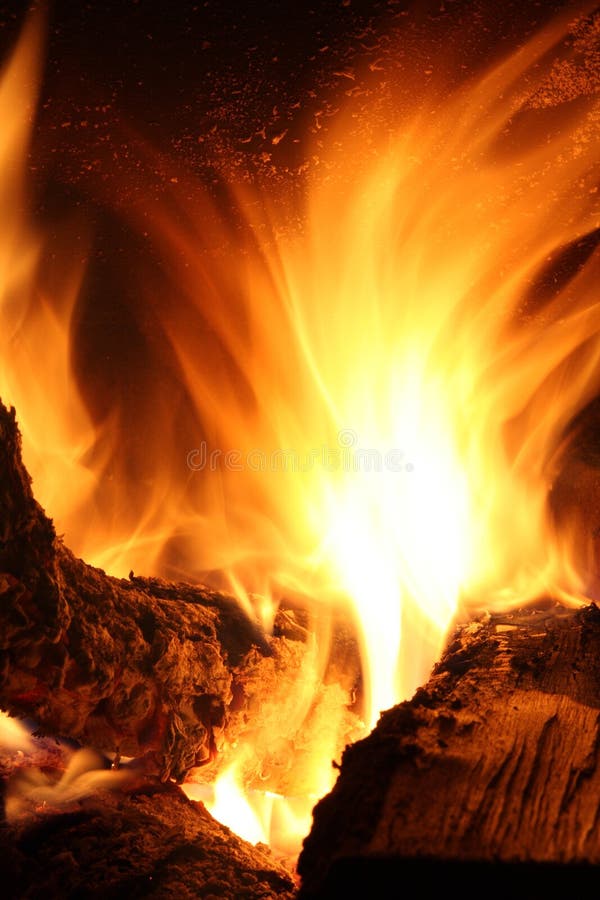 Fire Flame Picture. Image: 8045686