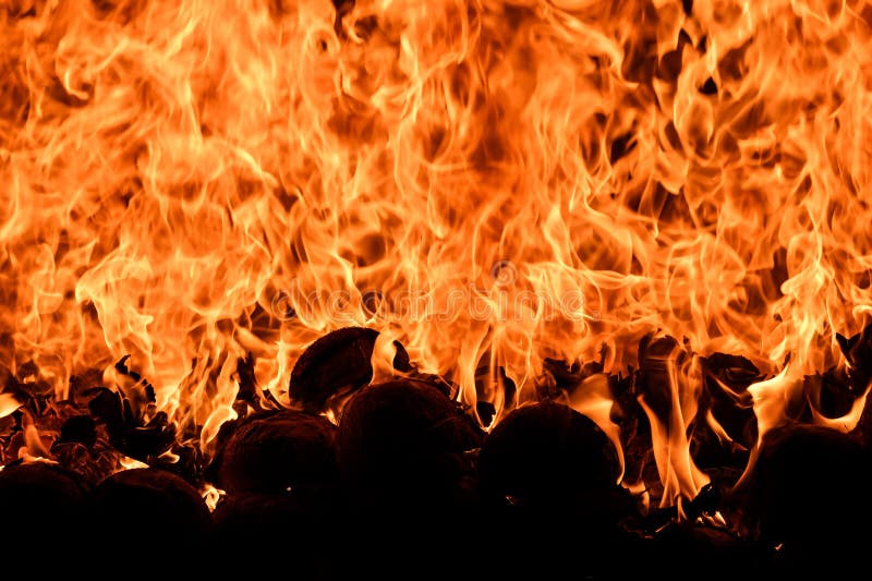 Fire Flame Background by the Combustion of Natural Materials Stock ...