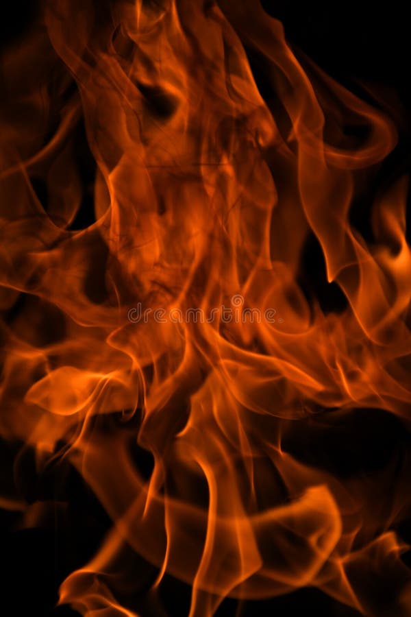 Fire Flame. Burn Lights on a Black Background. Stock Image - Image of ...