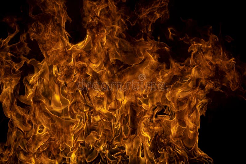 Fire Flame. Burn Lights on a Black Background. Stock Image - Image of ...