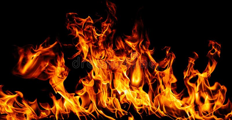Fire Flame. Burn Lights on a Black Background. Stock Image - Image of ...