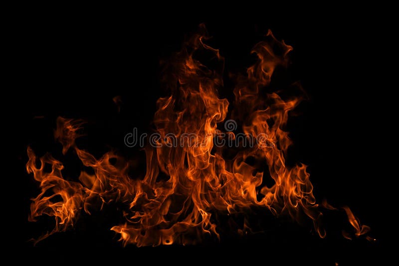 Fire Flame. Burn Lights on a Black Background. Stock Photo - Image of ...