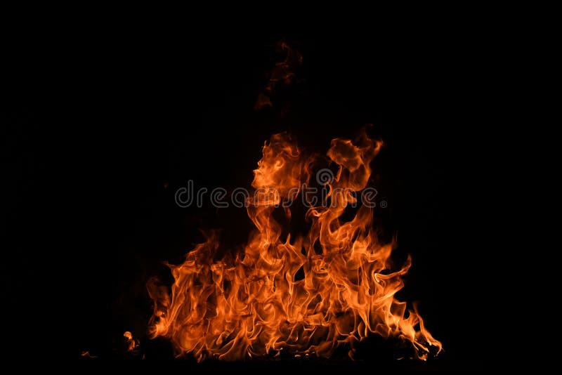Fire Flame. Burn Lights on a Black Background. Stock Photo - Image of ...
