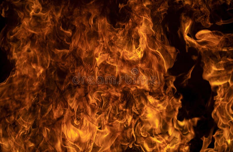Fire Flame. Burn Lights on a Black Background. Stock Image - Image of ...