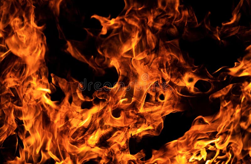 Fire Flame. Burn Lights on a Black Background. Stock Image - Image of ...