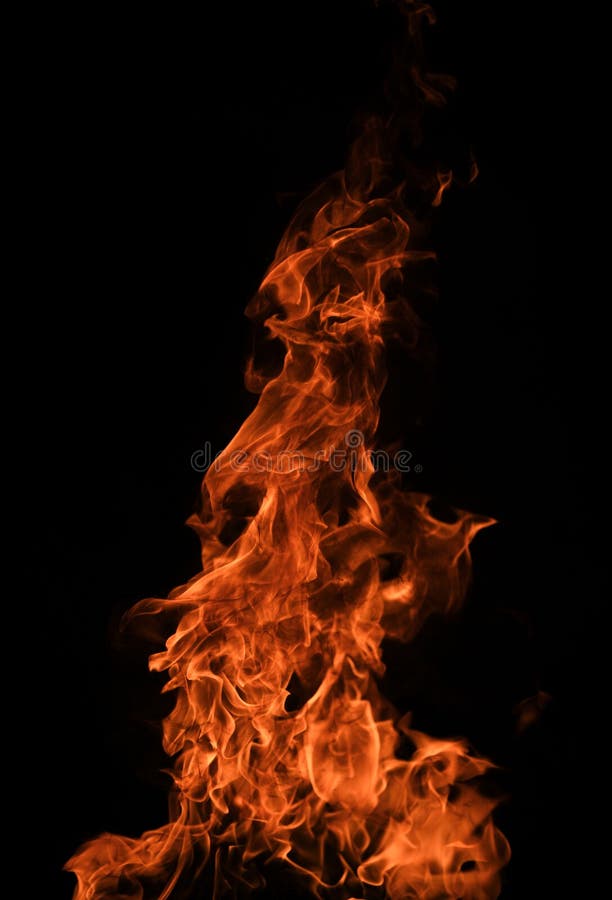 Fire Flame. Burn Lights on a Black Background. Stock Image - Image of ...