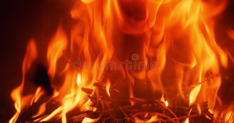 Fire Flame Burning a Bonfire or Fireplace at Home Stock Image - Image ...