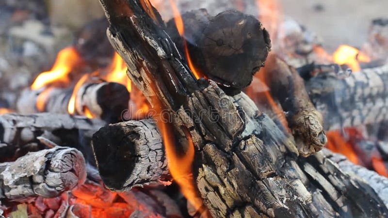 Burning Logs in a Campfire while Cooking and Warming Stock Video ...