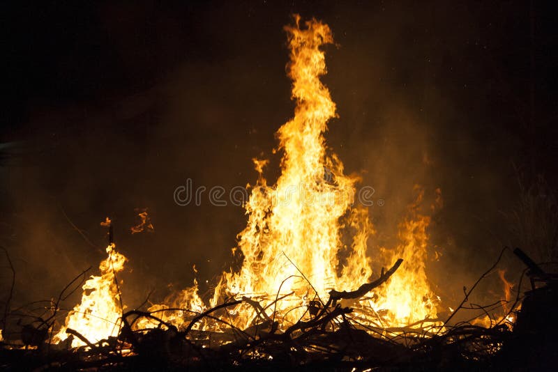 Fire Flame, Burning Stick of Tree on the Night. Stock Image - Image of ...