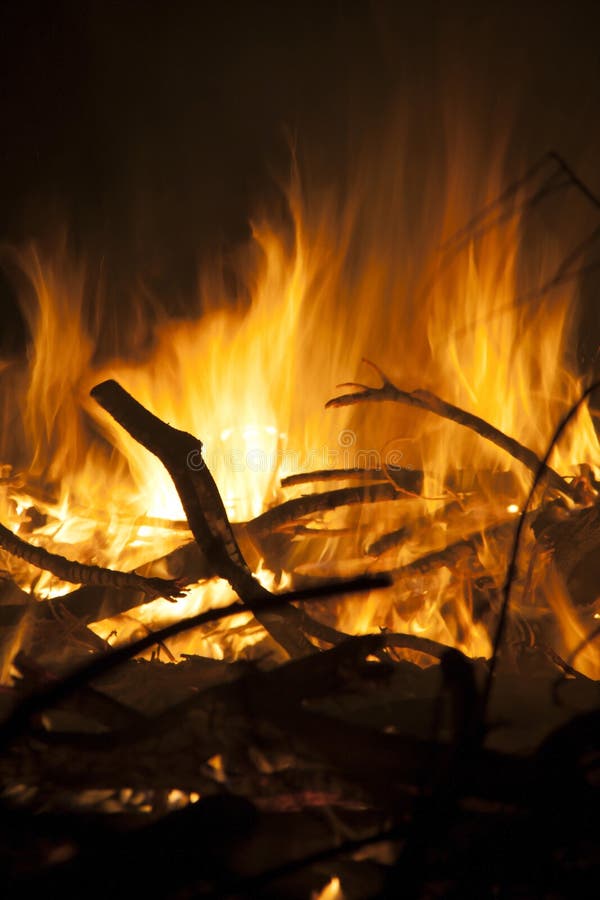 Fire Flame, Burning Stick of Tree on the Night. it is a Hot Glowing ...