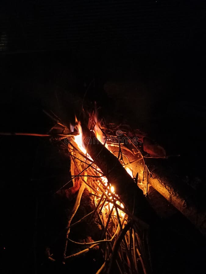 Fire, flame, campfire stock photo. Image of fire, yellow - 263985382