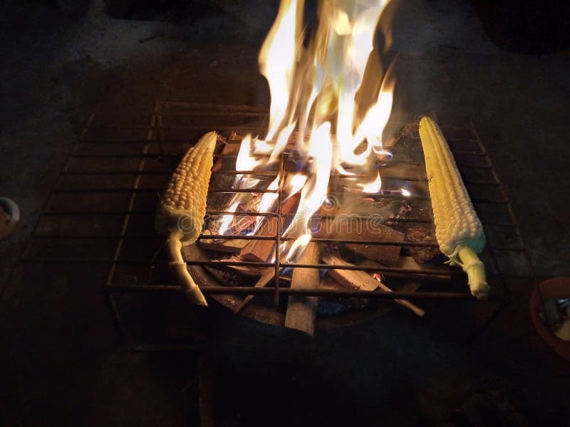 Fire flame between corn stock image. Image of iron, quail - 222532977